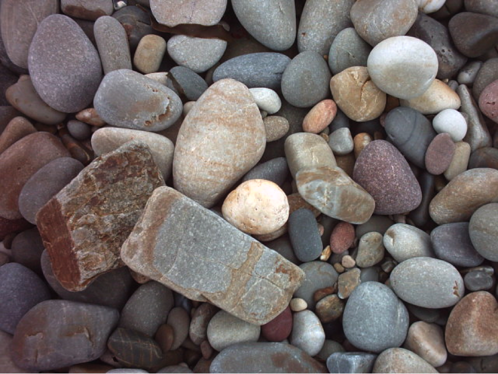 Post-PiBoIdMo Day 2: Seed vs. Pebble – Evaluating Your Ideas with Laura ...