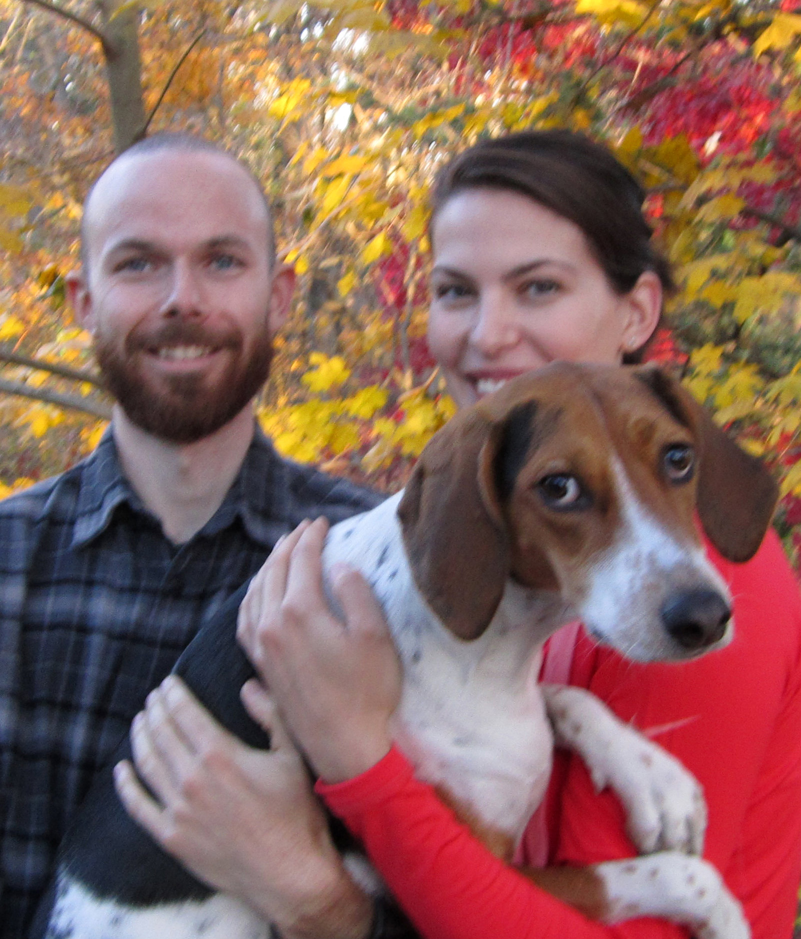 PiBoIdMo Day 15: Kayla Skogh, Peter Harren, Doodle and Doodles ...