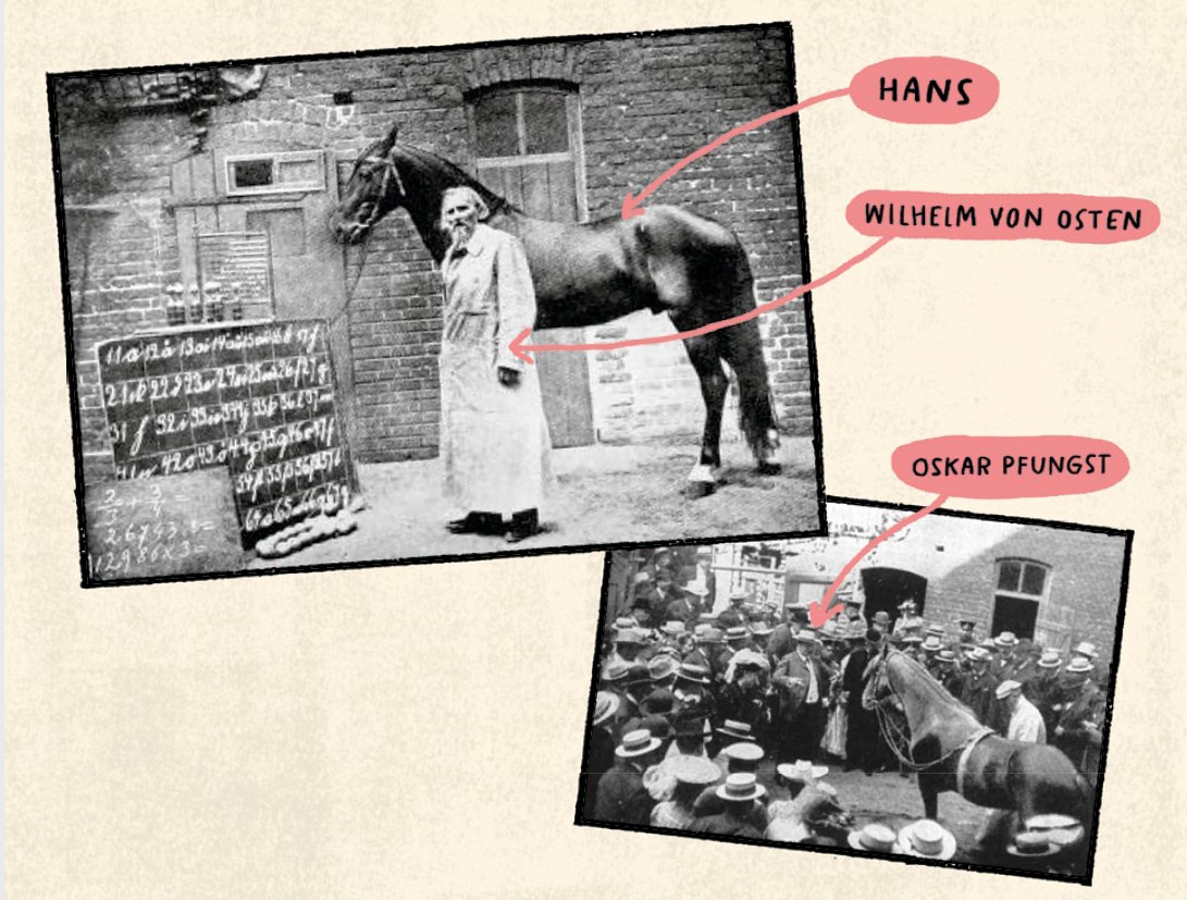 CLEVER HANS: The True Story Behind The True Story | Writing for Kids ...