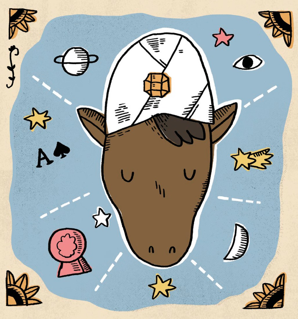 CLEVER HANS: The True Story Behind The True Story | Writing for Kids ...