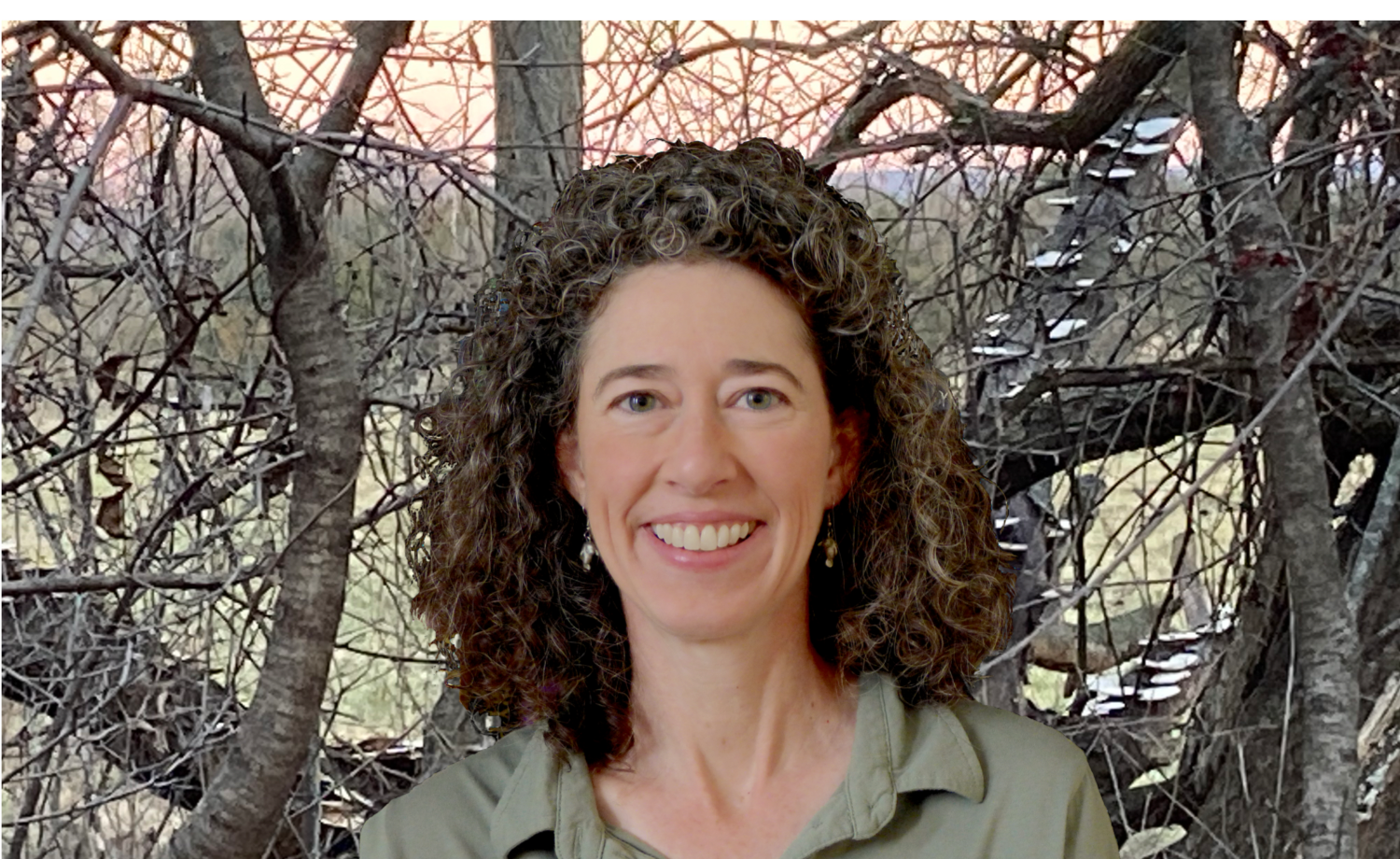 Laura K. Zimmermann’s Storystorm Success Story | Writing for Kids ...