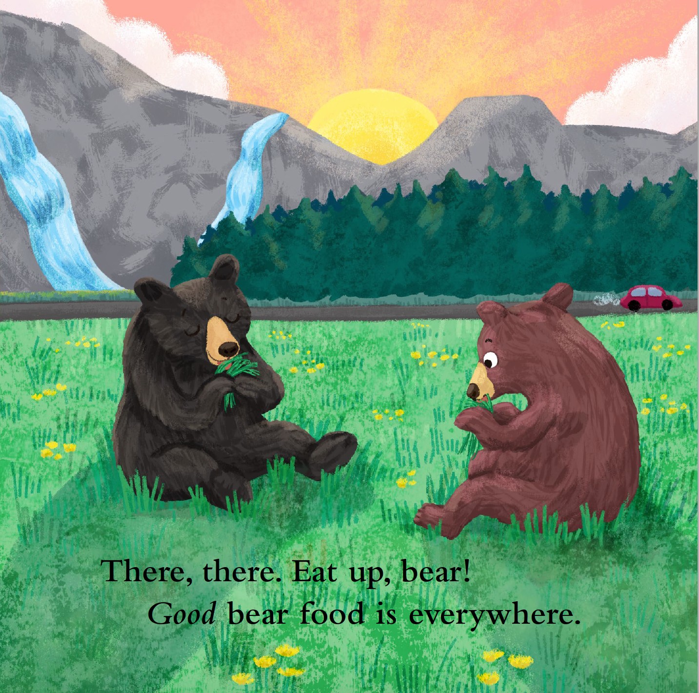 Interview with EAT UP, BEAR Yosemite Spokesbear (plus a giveaway ...