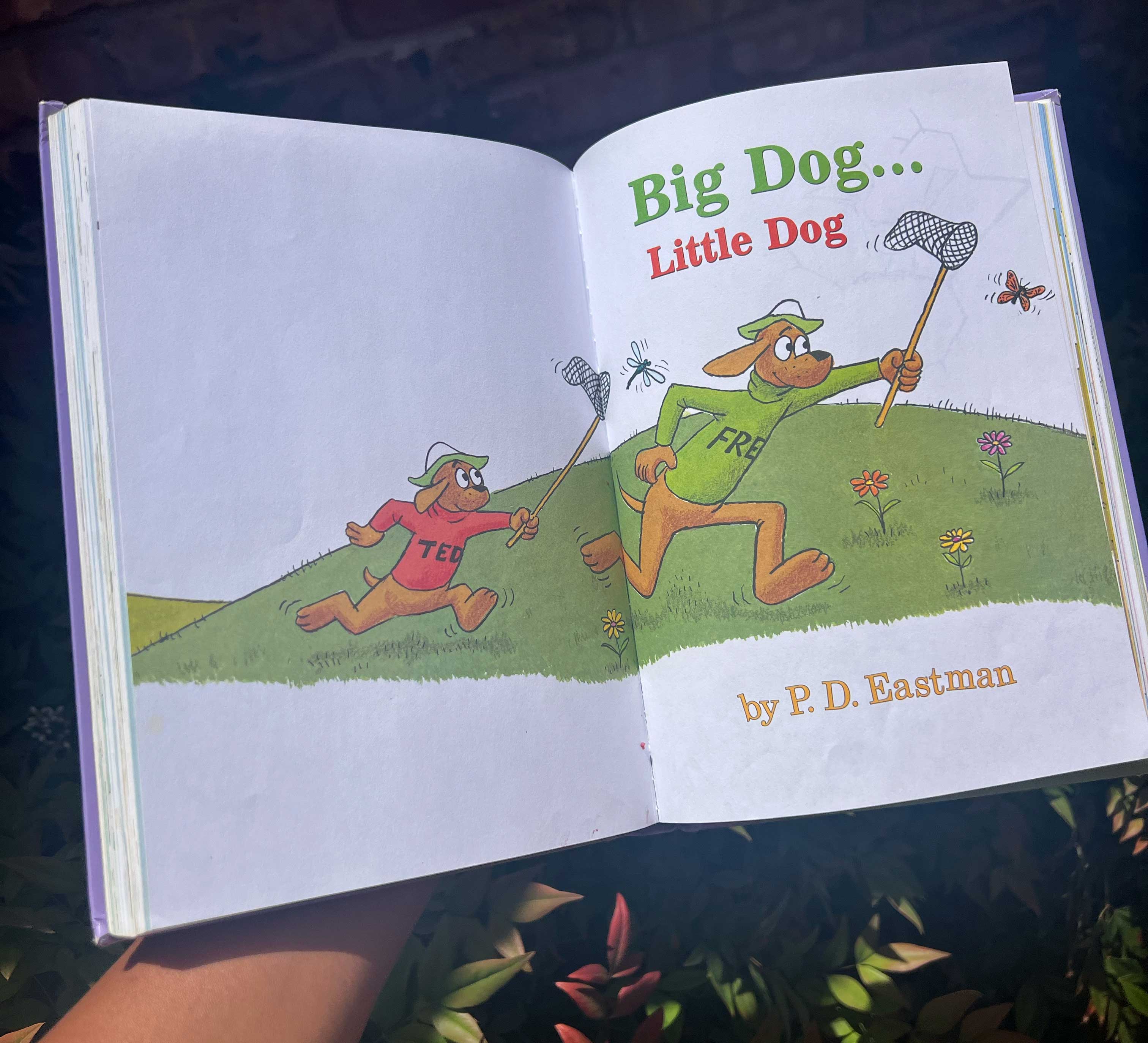 Picture Books | Writing for Kids (While Raising Them)